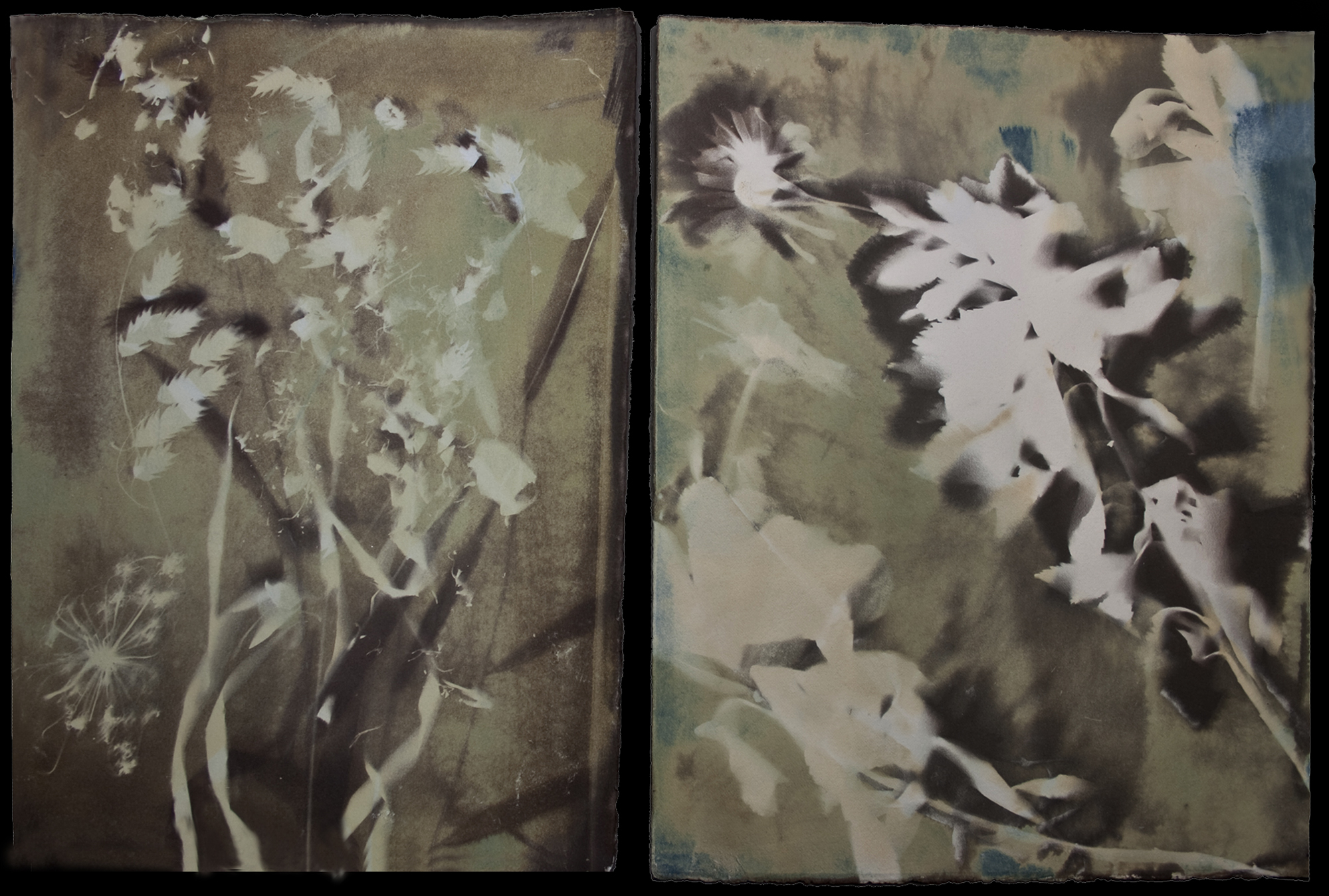 Backyard Botanicals – Laura Blacklow