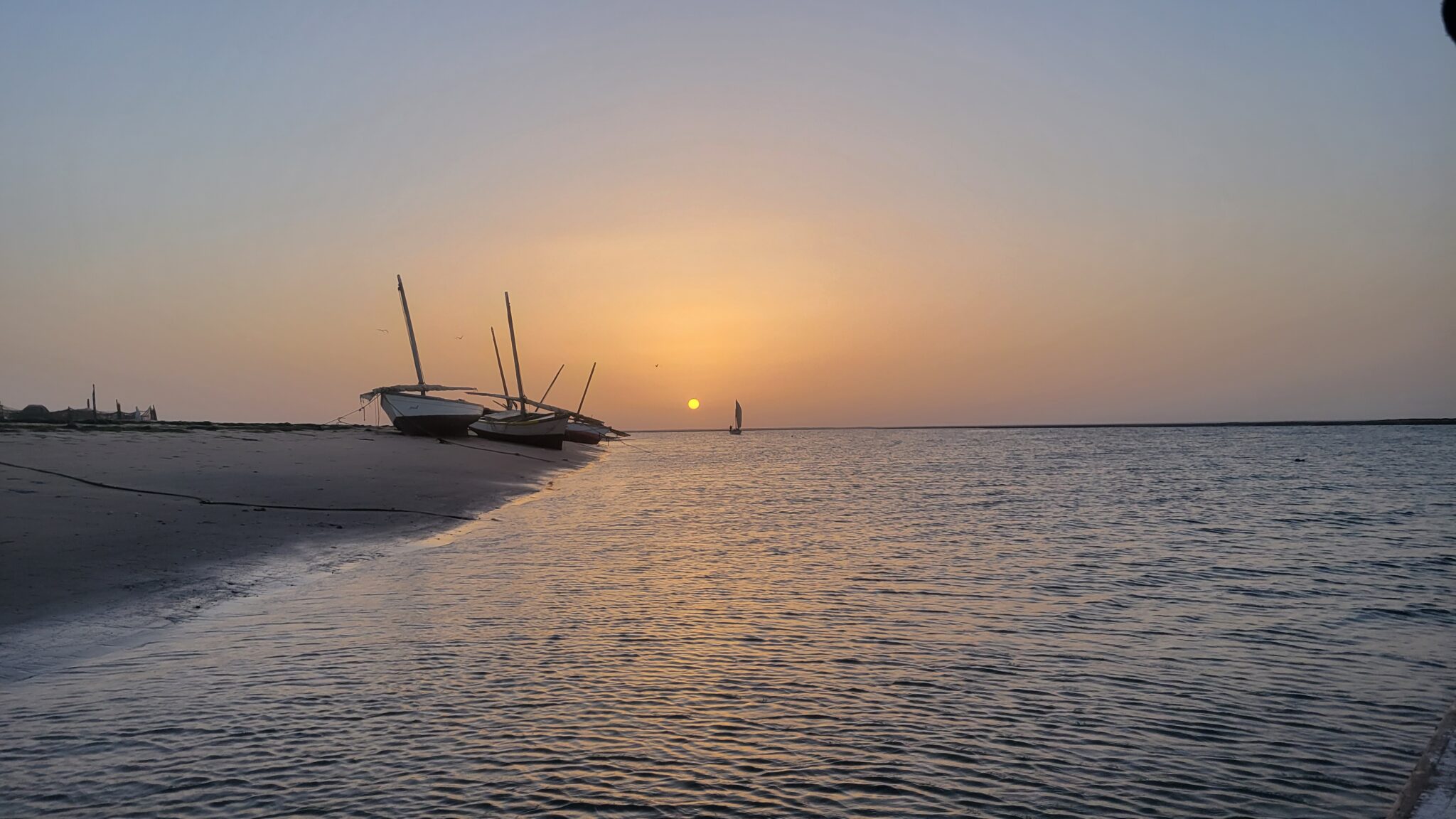 Banc d’Arguin National Park – Sidi Tours Mauritania